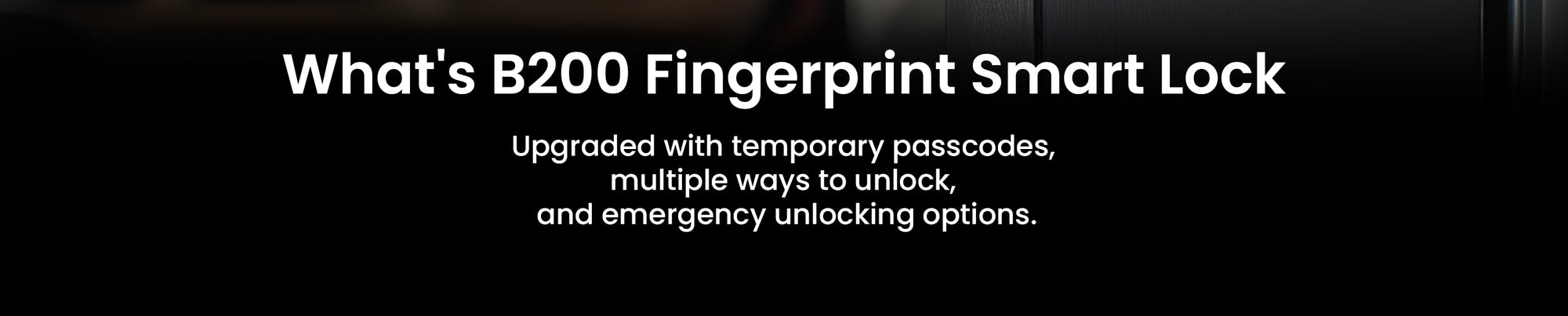 B200 Smart Fingerprint Deadbolt - DESLOC Smart Lock